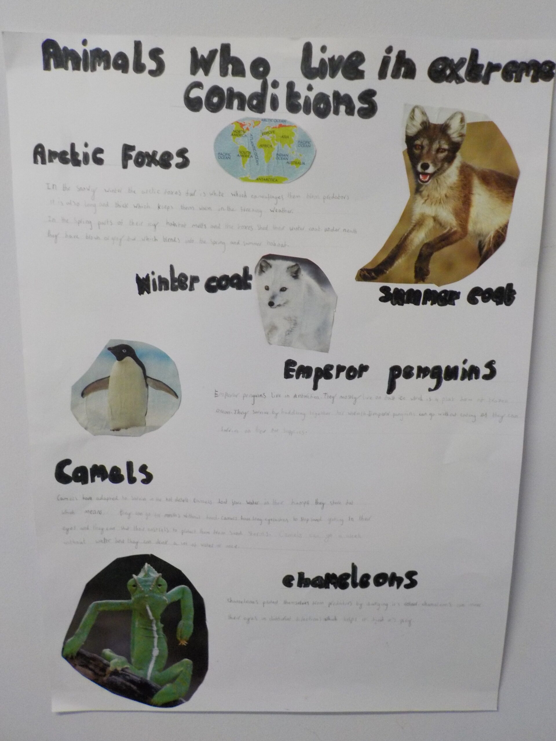 Science
